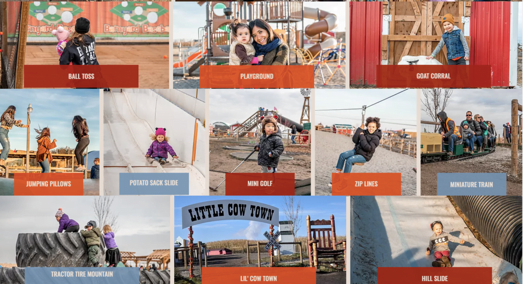 Ages 13-17 Keeping Up: Calgary Farmyard! - Ups and Downs